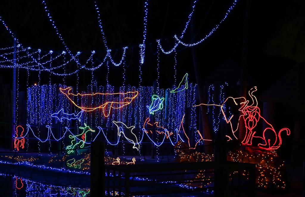 The Best Christmas Light Displays in Arizona - Beautiful Winter ...